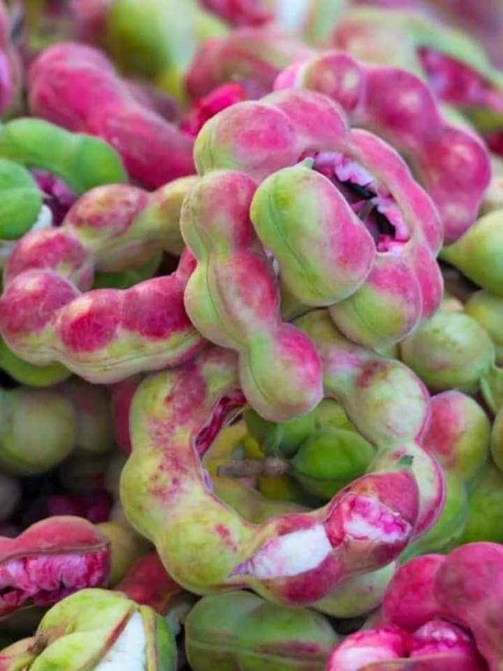 Jungle Jalebi: A fruit rich in medicinal properties